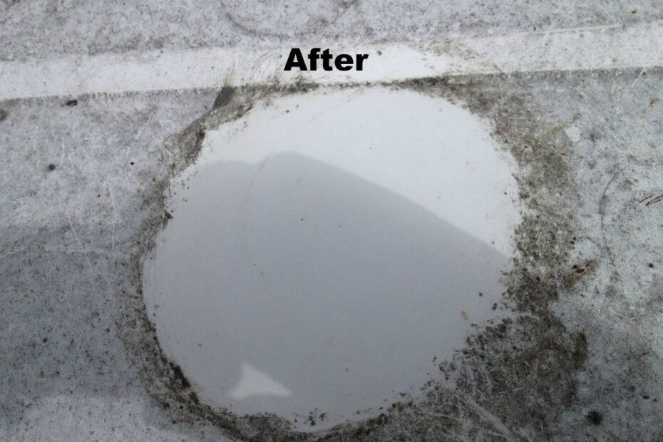 How To Get Tree Sap Off Concrete Up Gardening