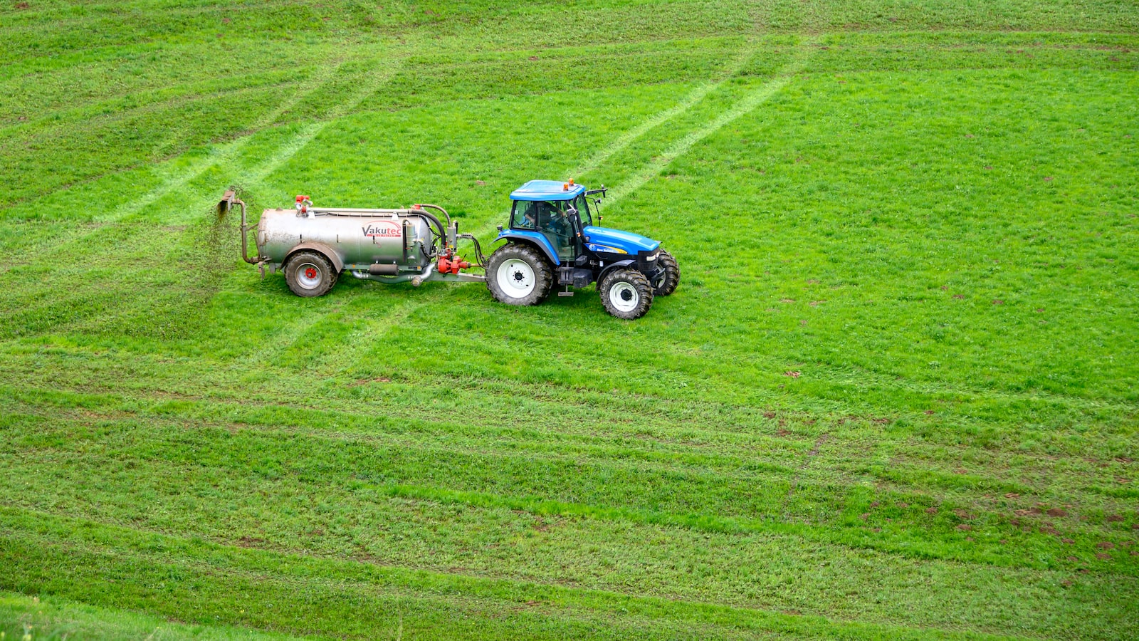 What Is 16 16 16 Fertilizer Used For Up Gardening